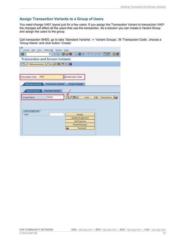 Creating transaction and screen variants | PDF