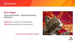 Creating a consistent web experience across all faculties | PDF