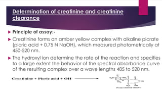 Creatinine and Creatinine Clearance | PPTX
