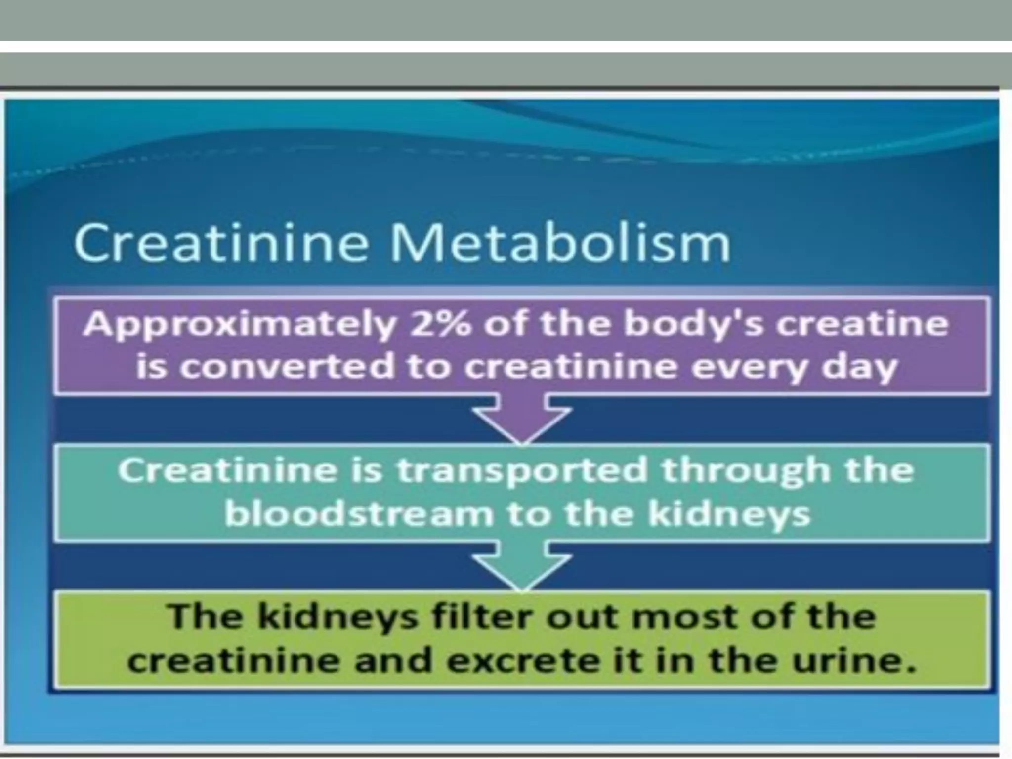 CREATININE.pptx.pdf