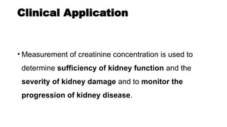 CREATININE DETERMINATION and Interpretation.pptx