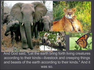 Genesis Creation | PPTX