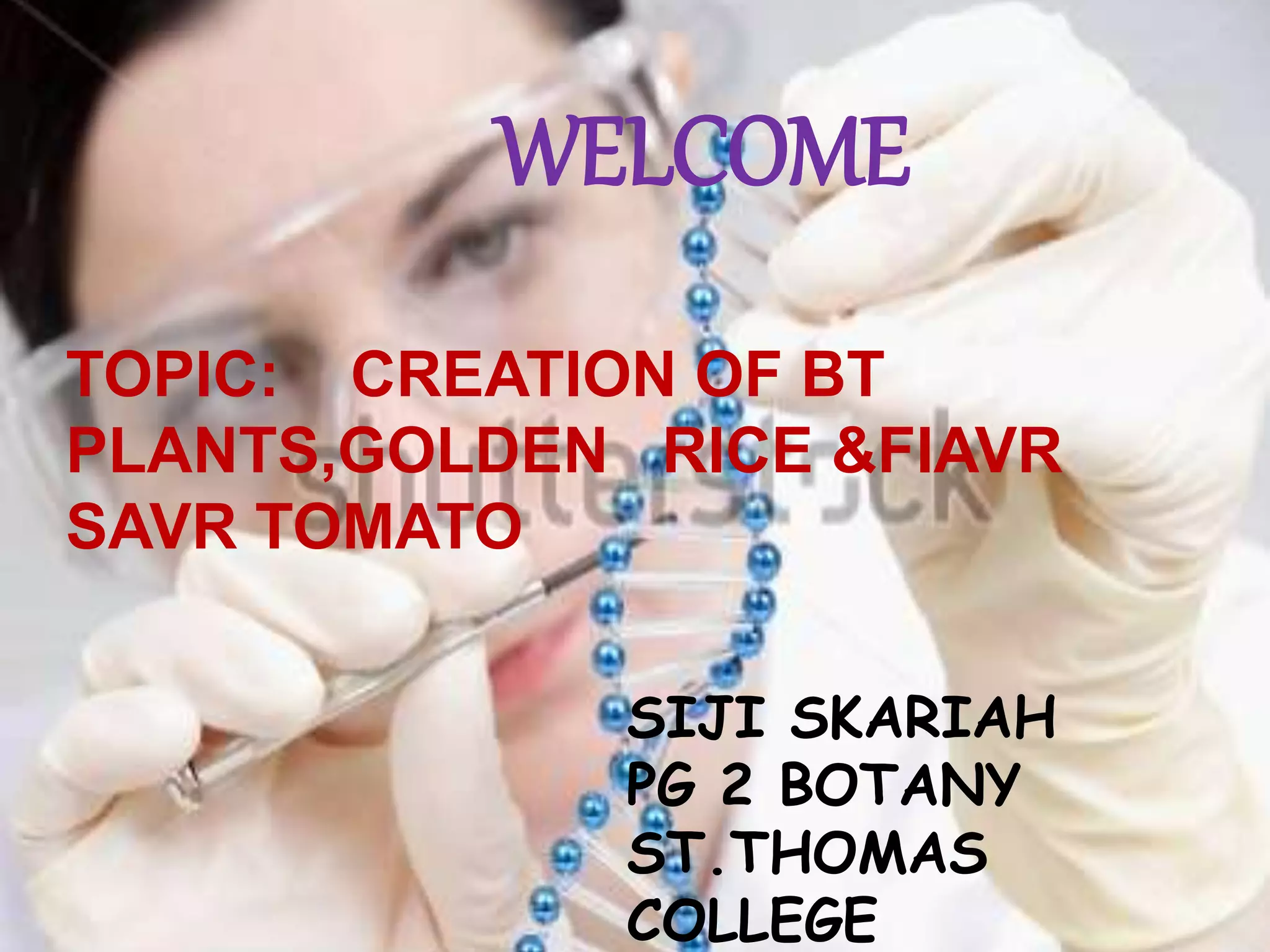 Creation of Bt plants | PPTX