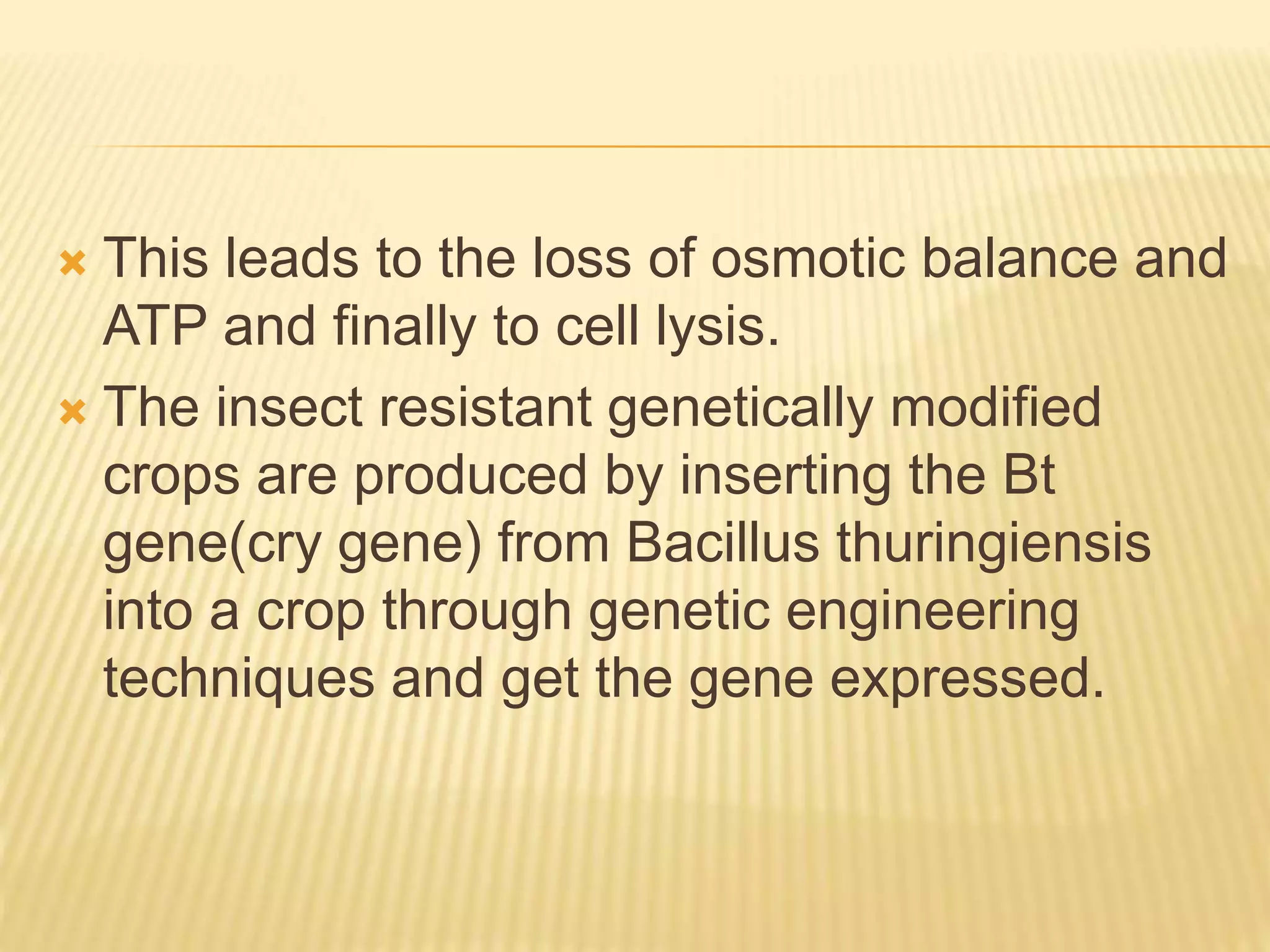 Creation of Bt plants | PPTX