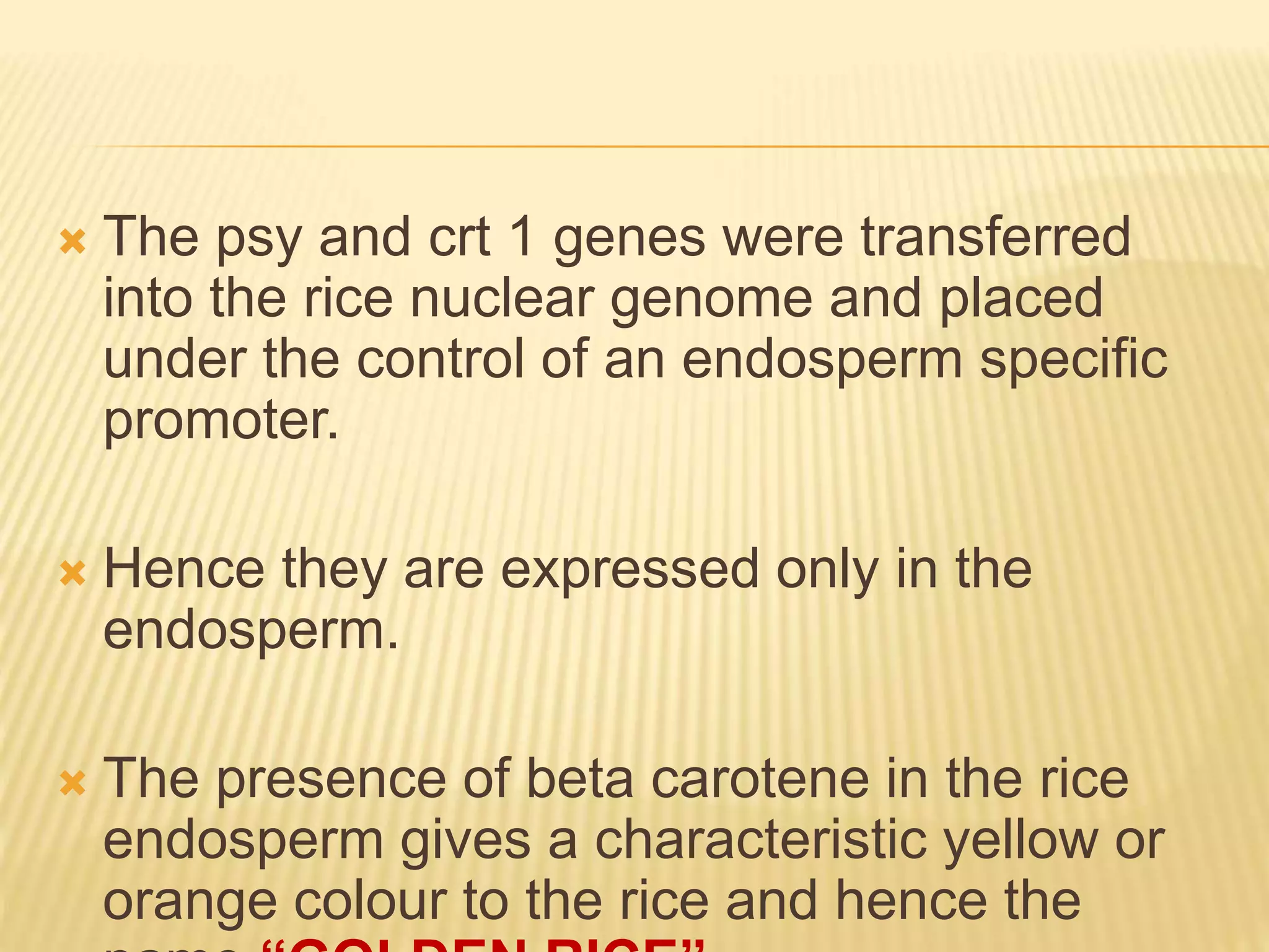 Creation of Bt plants | PPTX