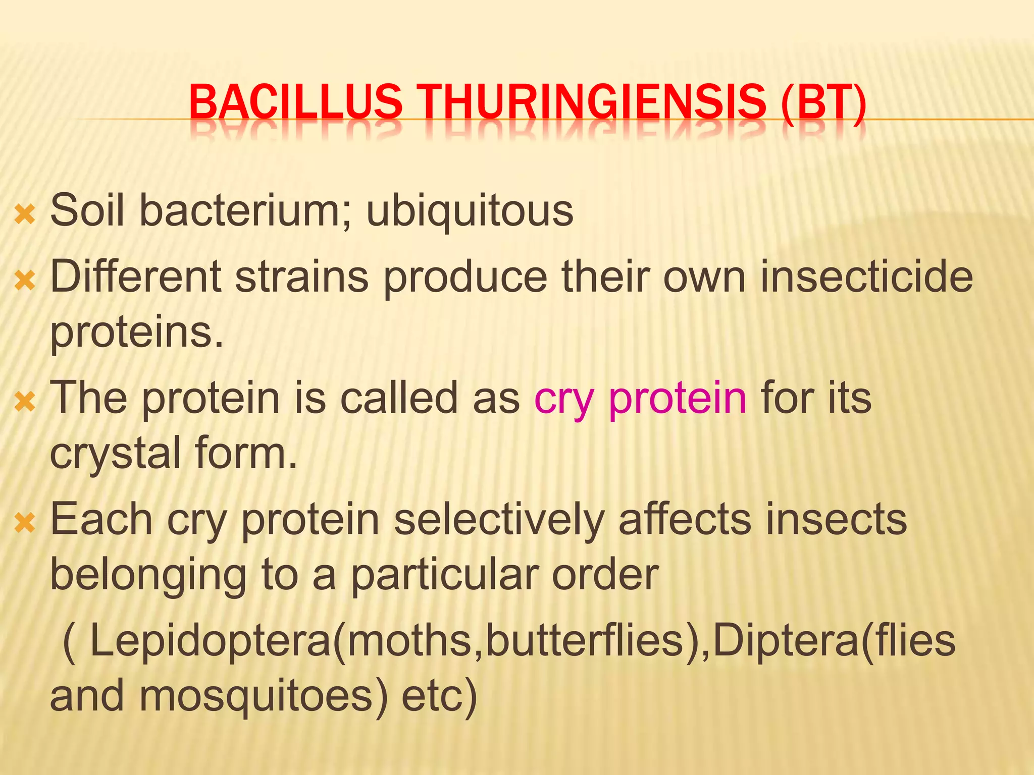 Creation of Bt plants | PPTX