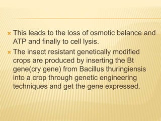 Creation of Bt plants | PPTX