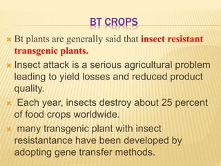 Creation of Bt plants | PPTX