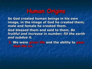 Creation And Evolution Session 5 | PPT