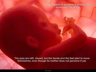 Creation of GOD Part 3 | PPT