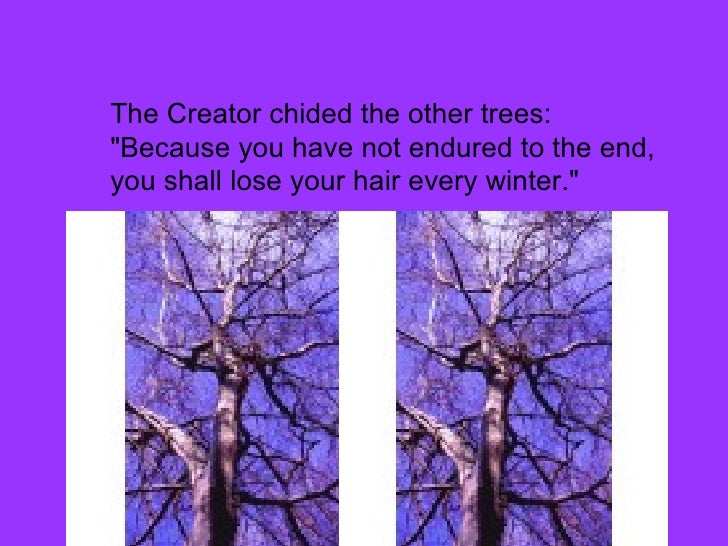 Creation Story Of The Cherokee creation-story-of-the-cherokee