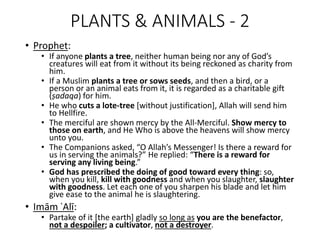 Creation-the-Environment-in-Islam-5640145 | PPT