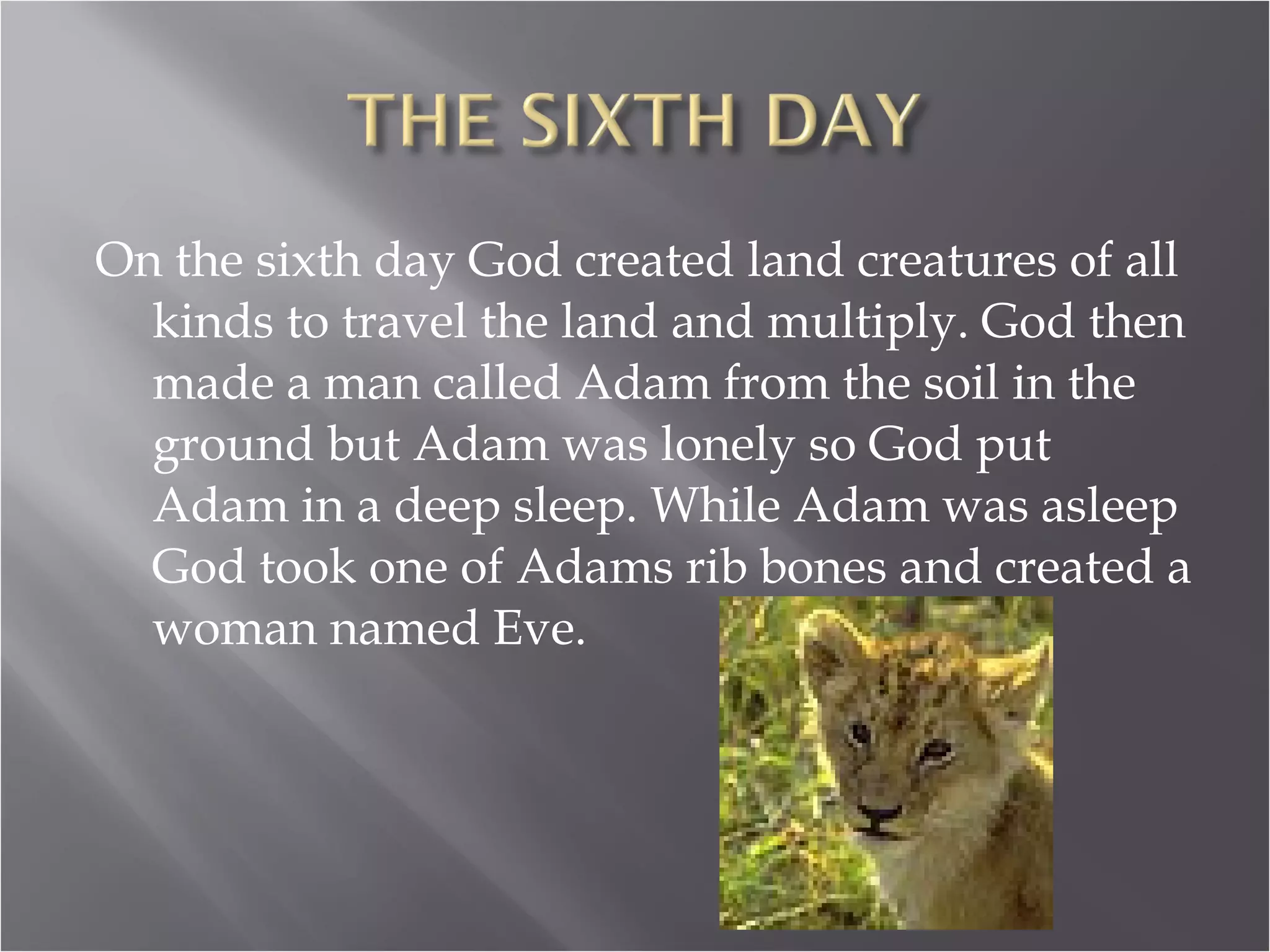Aden's Creation Story | PPT