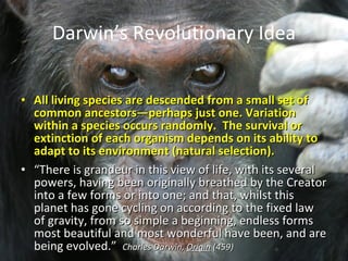 Before the Beginning, God... | PPT