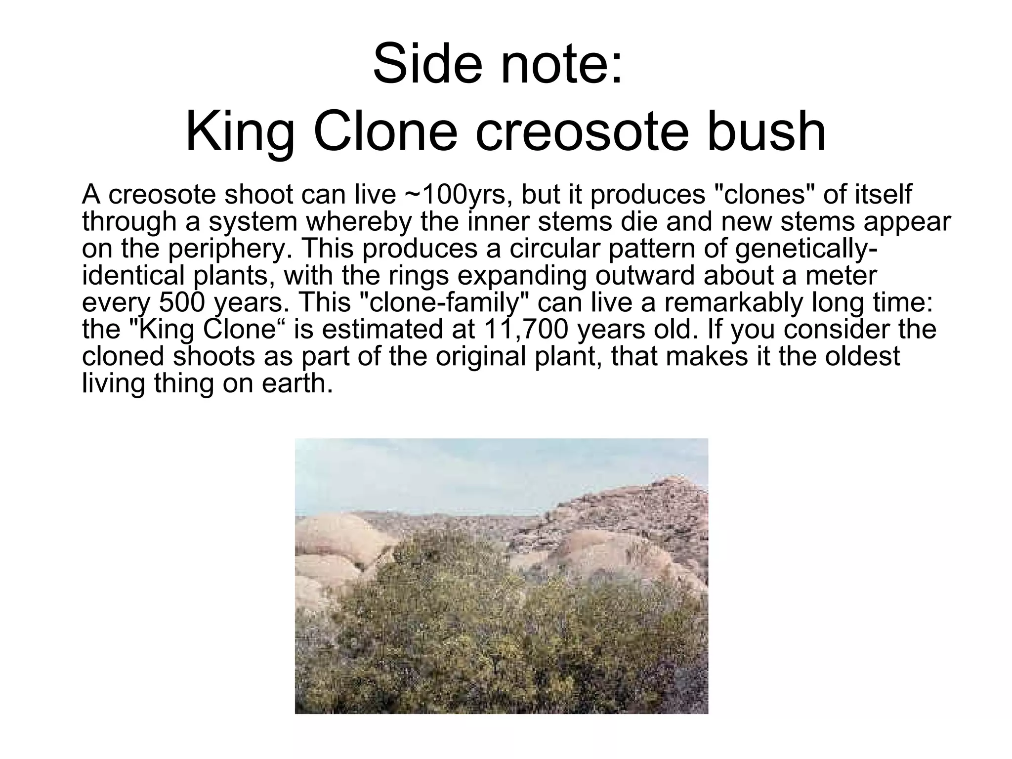 Creationism Vs Evolution | PPT
