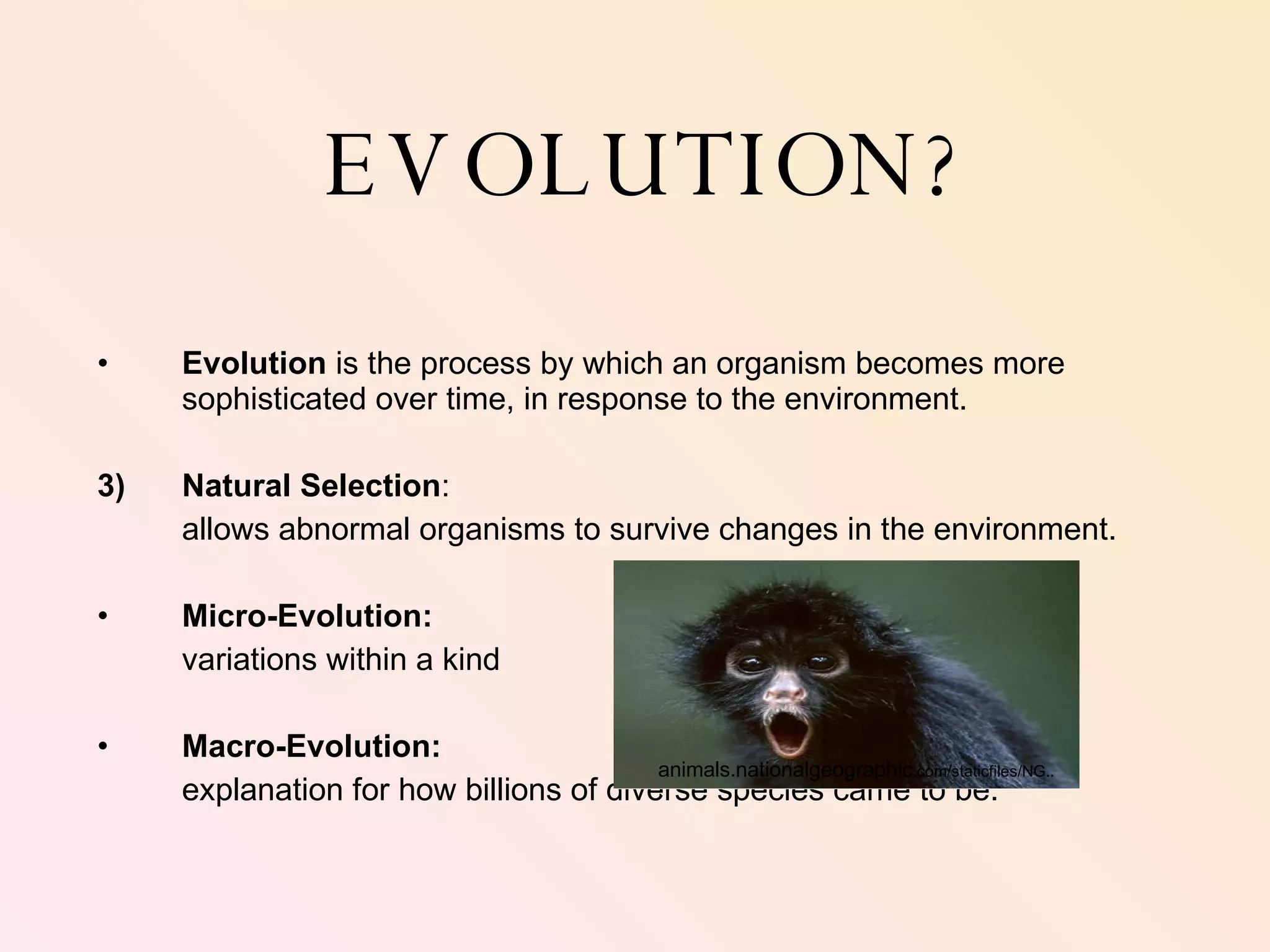 Creationism vs Evolution | PPT