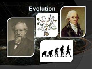 Creationism vs evolution | PPTX