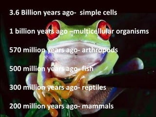 Creation powerpoint for jte session 1 timeline | PPT