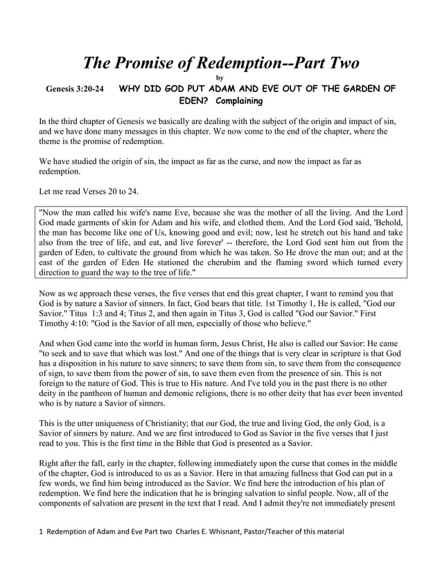 Creation The Promise Of Redemption Part 2 | DOCX