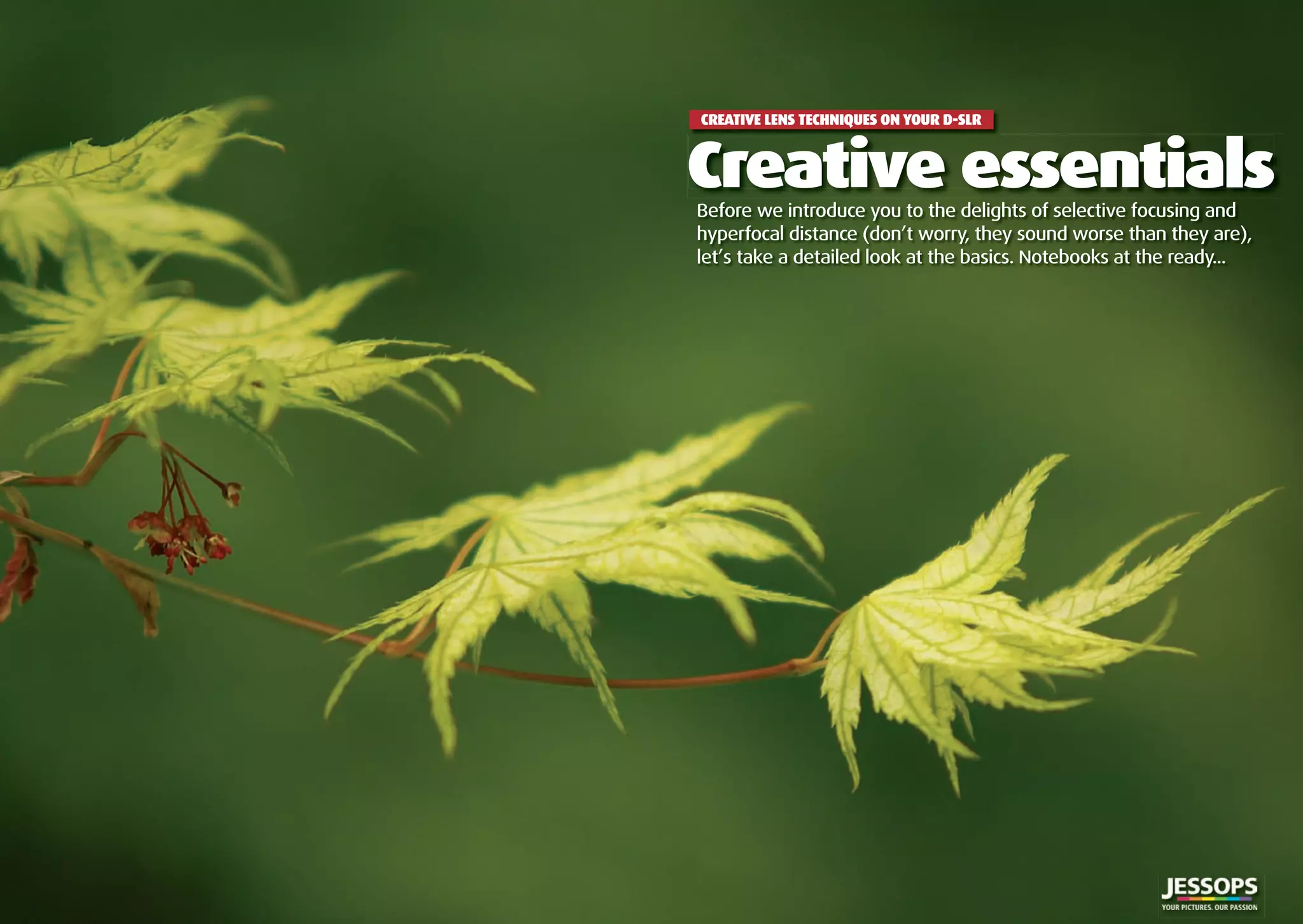 Creative Lens Techniques | PDF