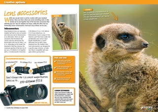 Creative Lens Techniques | PDF