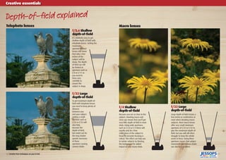 Creative Lens Techniques | PDF