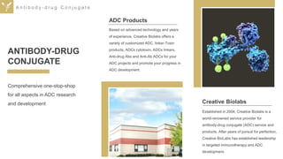 antibody-drug conjugates product brochure | PDF
