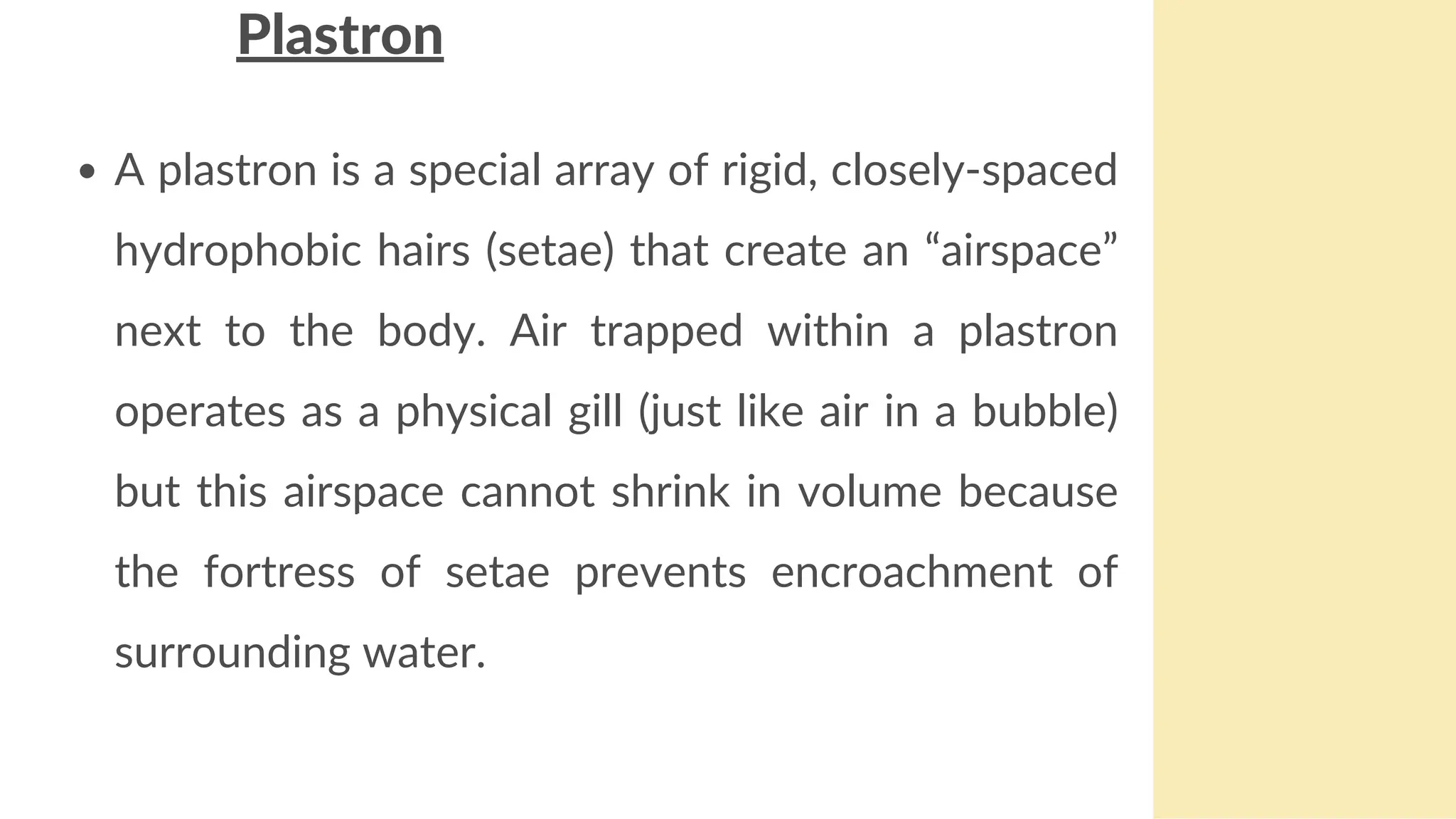 Respiration_in_aquatic_insects__________ | PDF