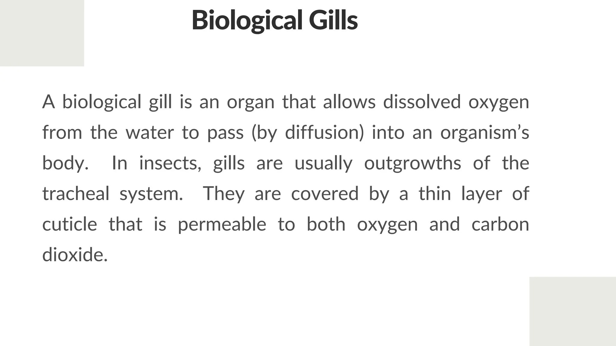 Respiration_in_aquatic_insects__________ | PDF