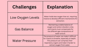 Respiration_in_aquatic_insects__________ | PDF
