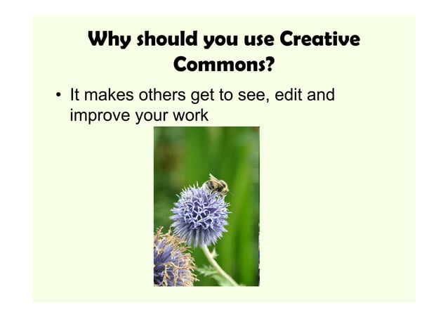 Creative Commons-Licenses | PDF | Technology & Computing