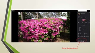 Creative Commons | PPT