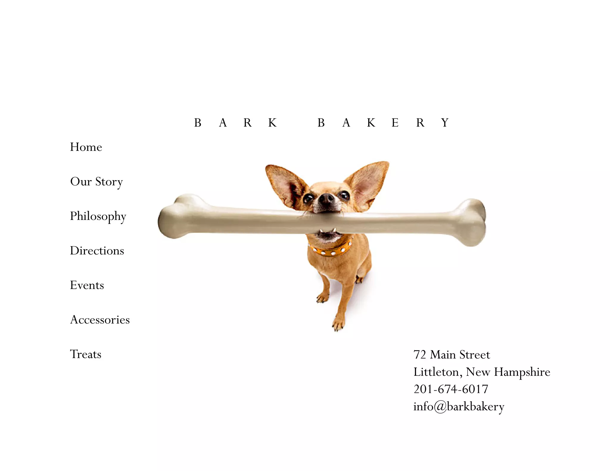 Creative Direction | PDF