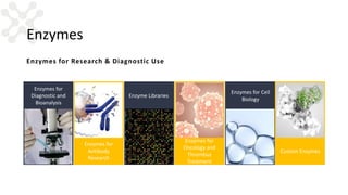 Creative enzymes | PPTX