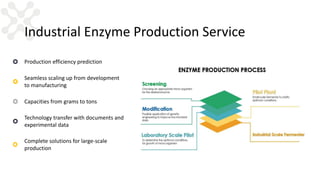 Creative enzymes | PPTX