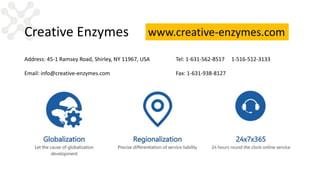 Creative enzymes | PPTX
