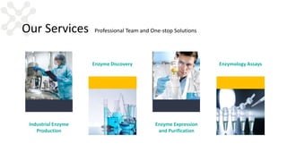 Creative enzymes | PPTX