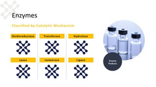 Creative enzymes | PPTX