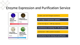 Creative Enzymes | PPT