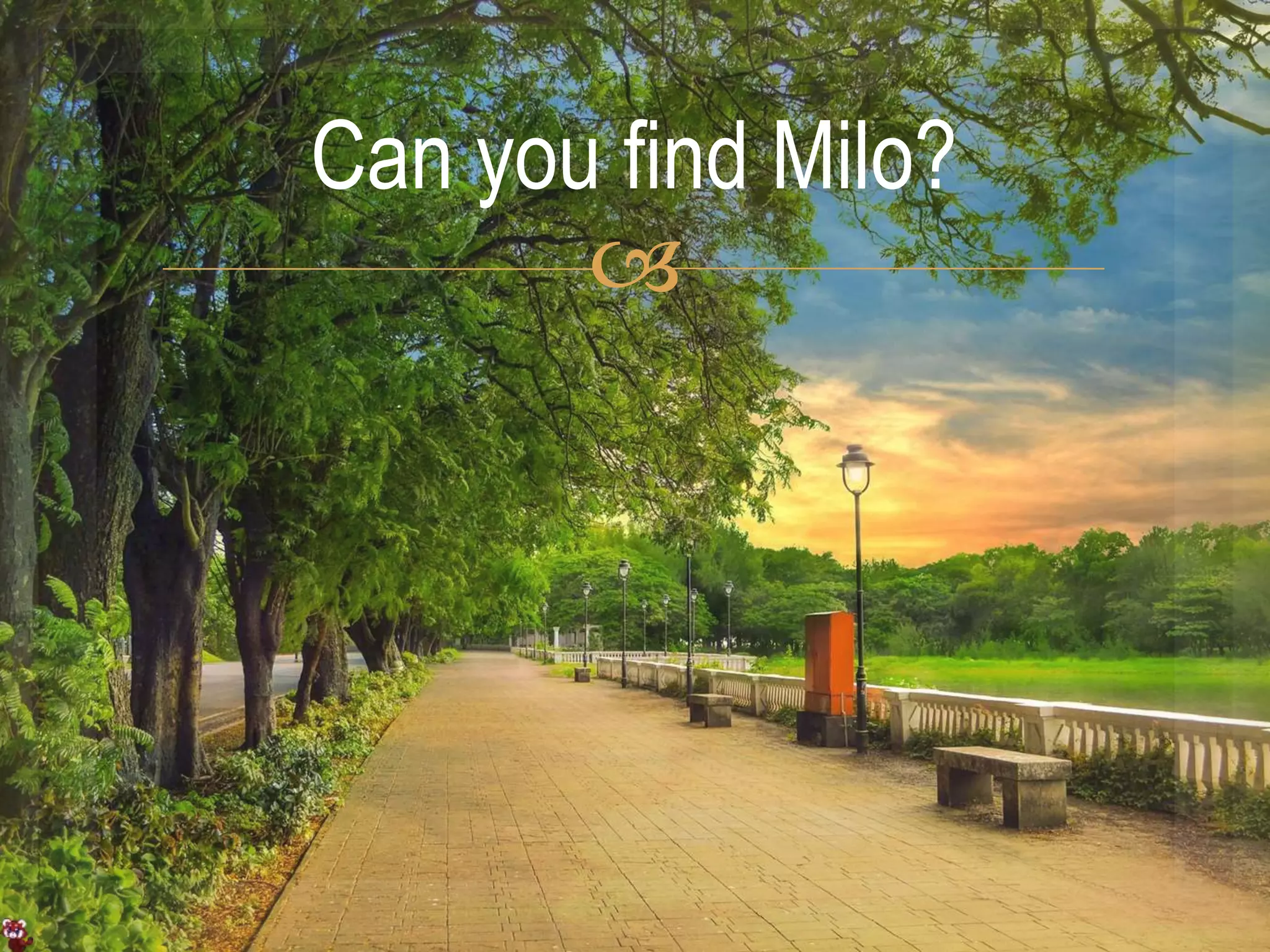 Milo The Red Panda | PPT