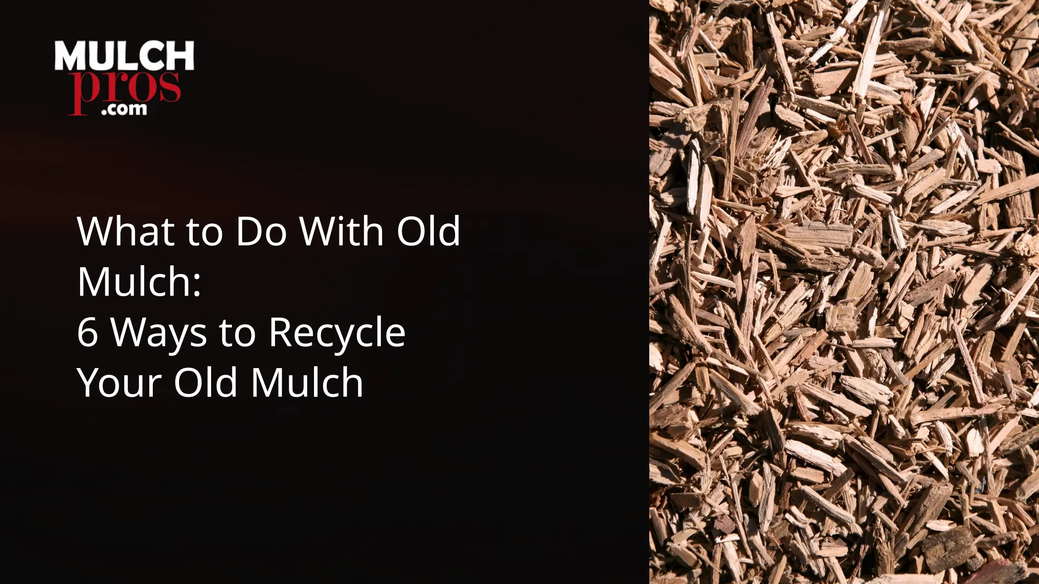 Creative Mulch Recycling Ideas for Eco-Friendly Landscaping ...