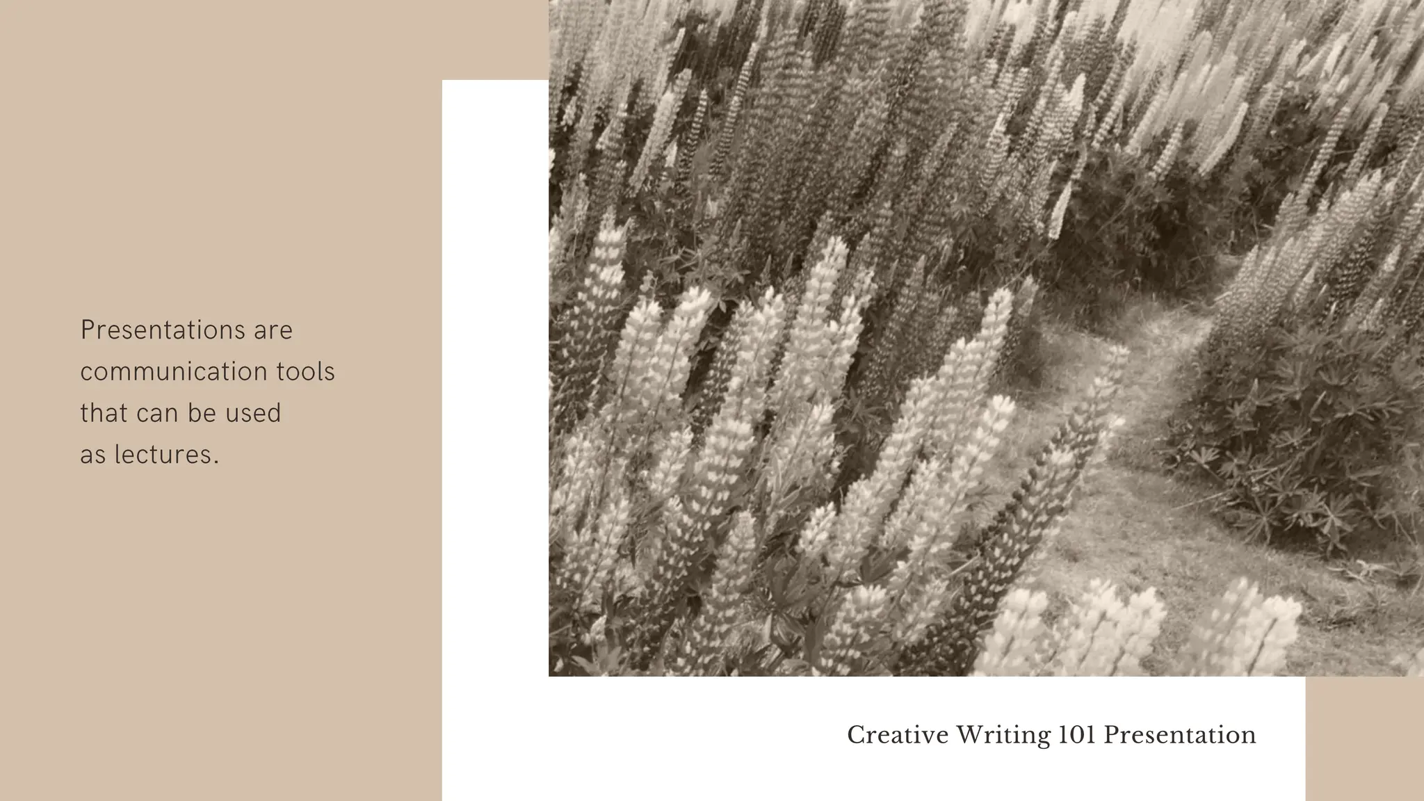 CREATIVE NONFICTION: THEMES, TECHNIQUES AND LITERARY DEVICES.pptx