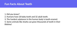 Creative Resource Generator-Comprehensive Flashcards on Human Teeth for ...