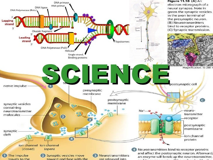Creative Visual Response
