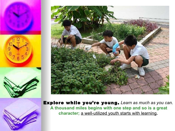 Creative Visual Response