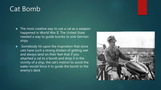 Creative war techniques and equipments | PPT