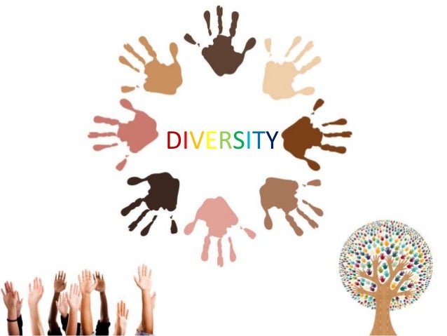 Creativity, curiosity, diversity