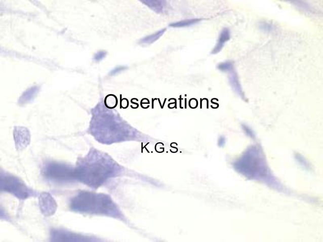 Observations: Key Learnings | PPTX