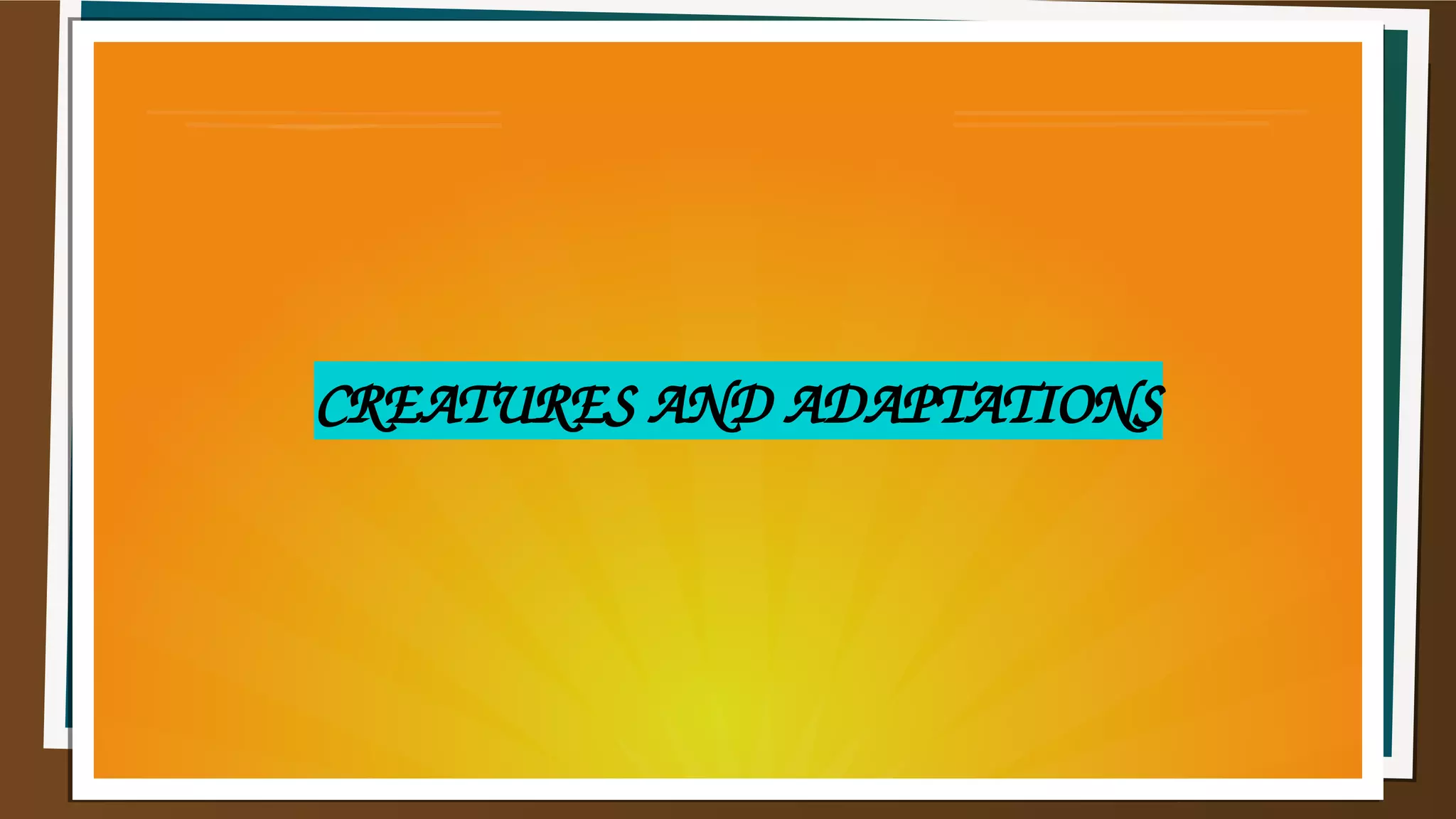 Creatures and adaptations | PPT