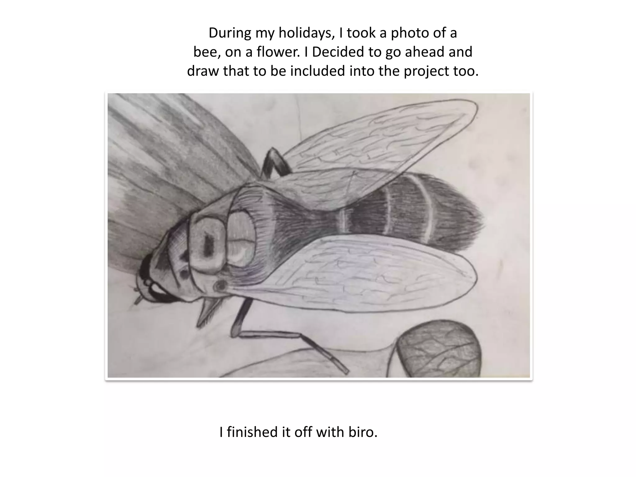 Creature sketchbook pages | PPTX | Drawing and Sketching | Arts and Crafts